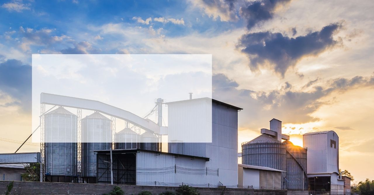 Grainville: Premium Indian Rice Manufacturers & Exporters