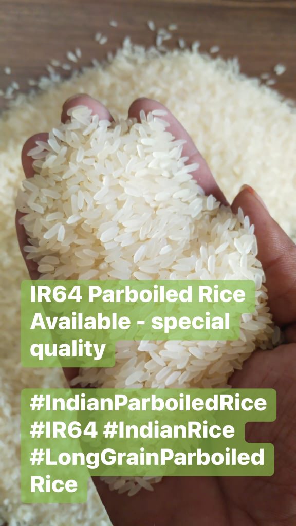 IR-64/36 Parboiled Rice 5% Broken from Gujarat - Premium Quality at ...